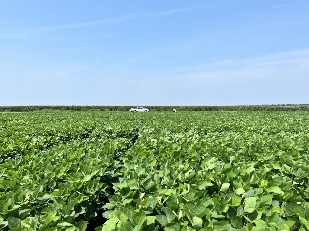 Agtech 360 Podcast Unlocking The Power Of Beneficial Microbes Nc State Extension